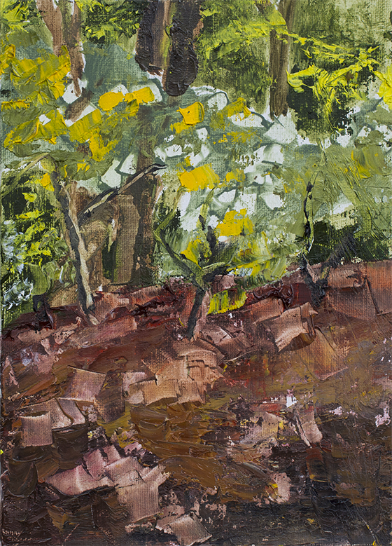 Abstract Landscapes – susan krieg