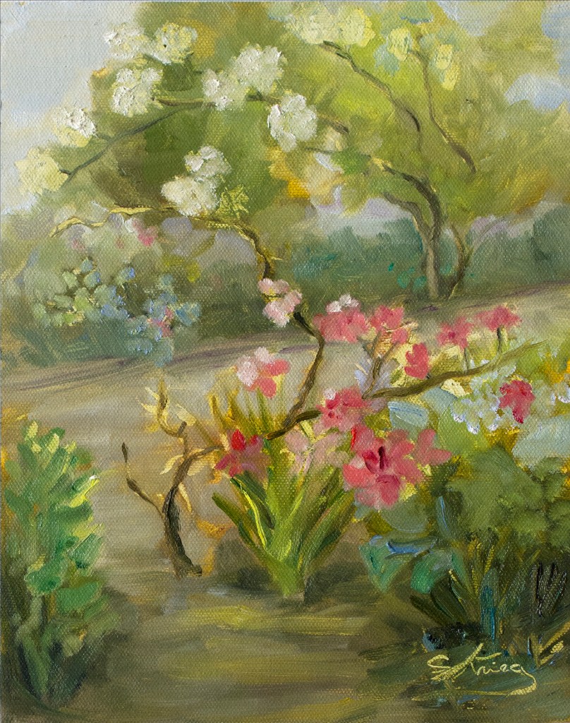 Abstract Landscapes – susan krieg