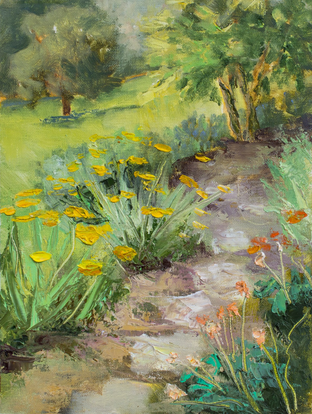 Abstract Landscapes – susan krieg