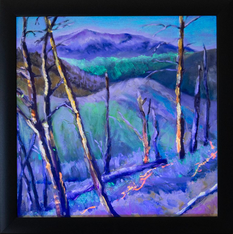 Blacklight Landscapes – susan krieg