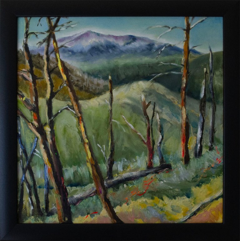 Blacklight Landscapes – susan krieg