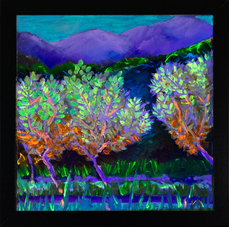 Blacklight Landscapes – susan krieg