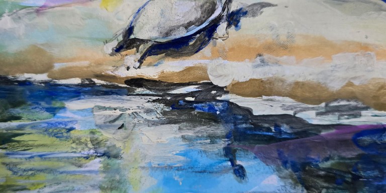 susan krieg – All Over the Place Artist